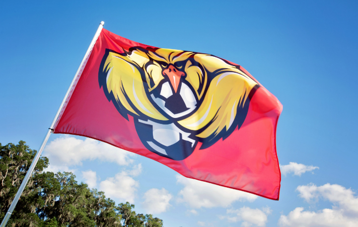 Flags – EZ-INK Printing